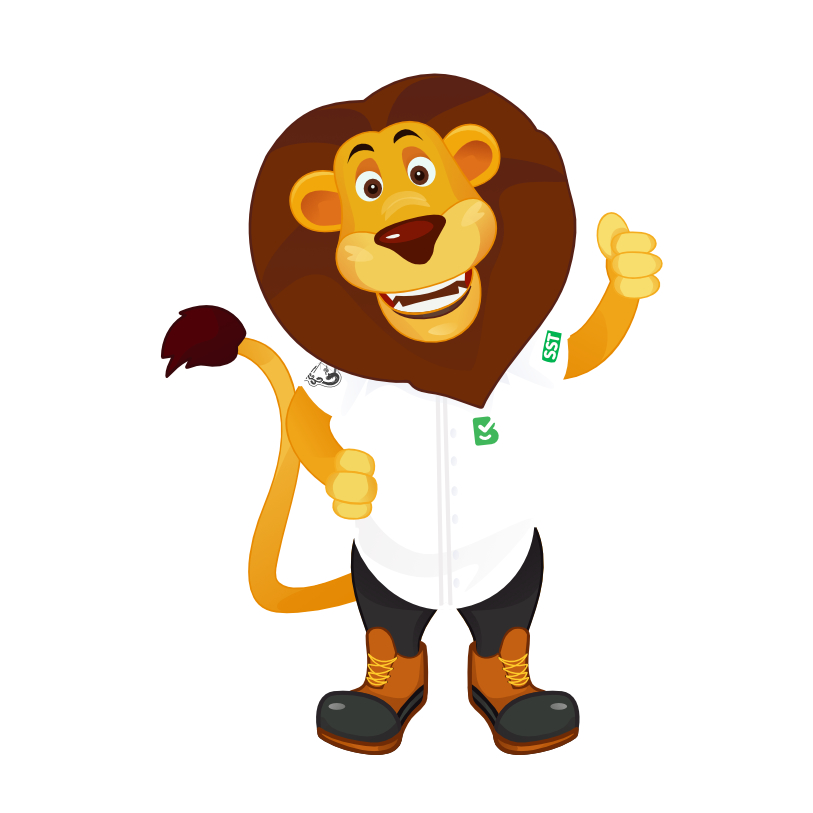 Sistema de Gestión en Seguridad y Salud en el Trabajo – SG-SST